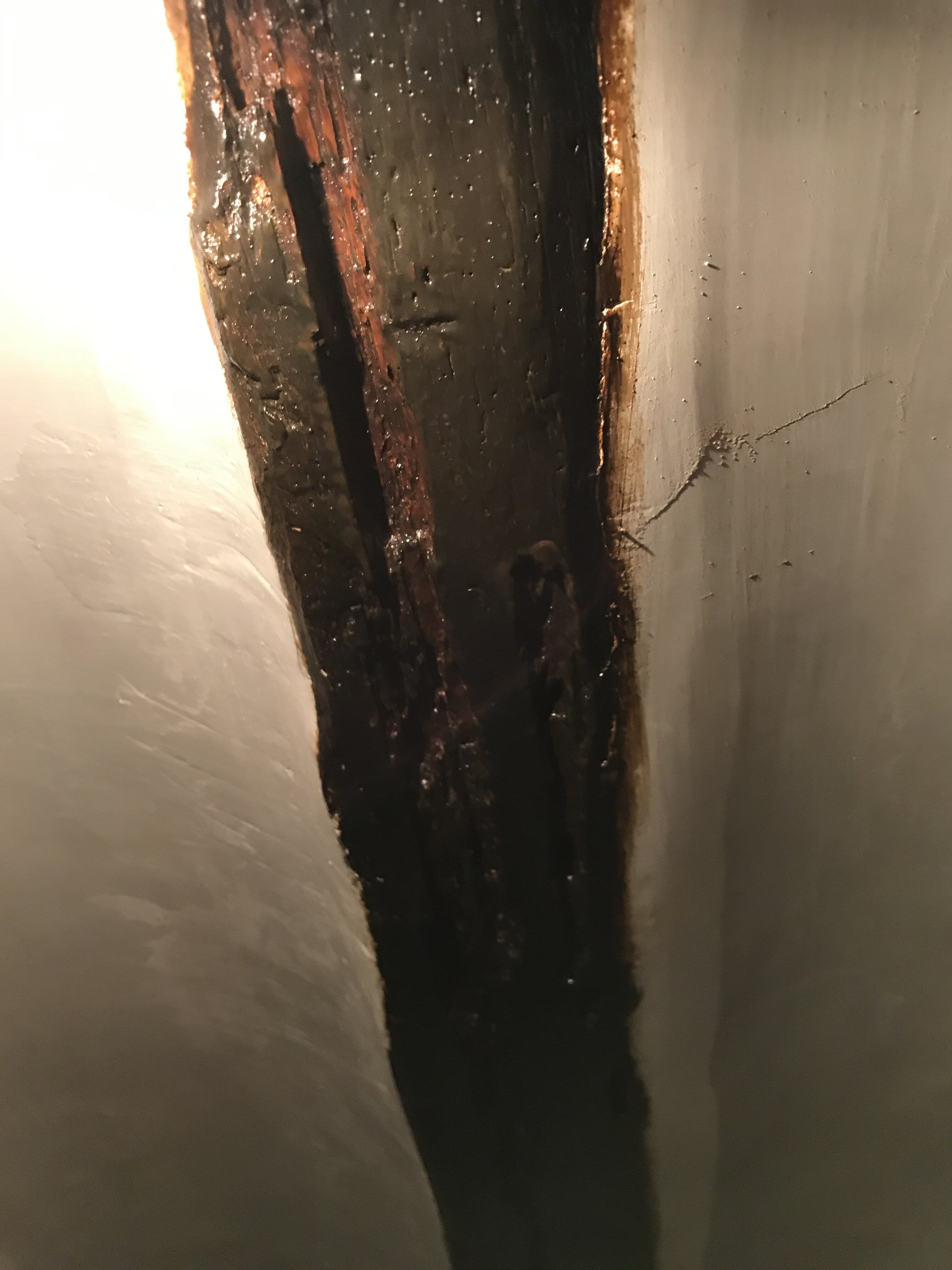 Vigas de madera carcomidas y luego destripadas - Arquitectura ...