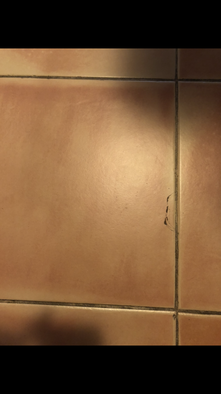 Loseta del suelo, rota como disimular o reparar - Albañilería ...