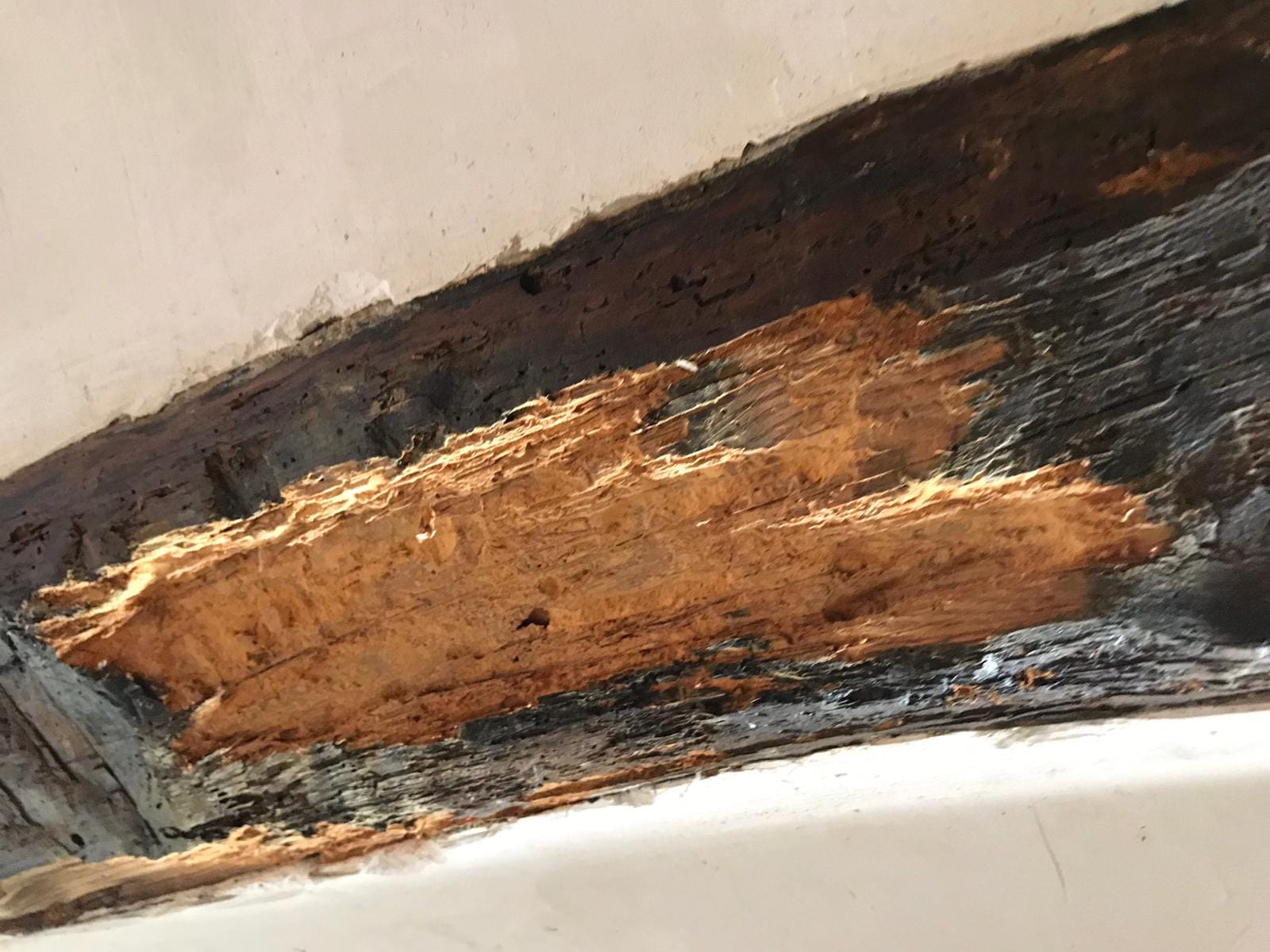 ¿Cuáles son los siguientes pasos a realizar en estas vigas carcomidas ...