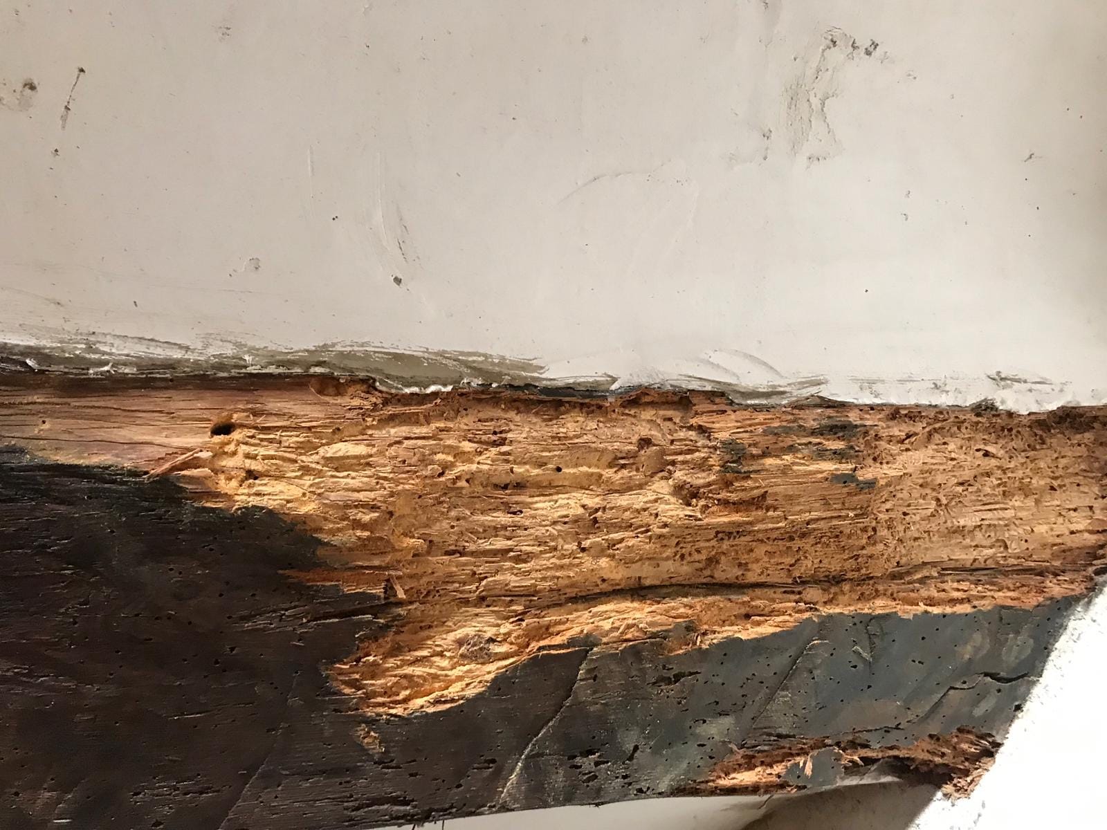 ¿Cuáles son los siguientes pasos a realizar en estas vigas carcomidas ...