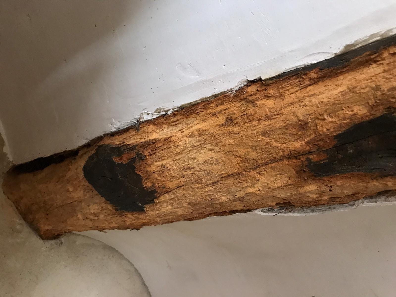 ¿Cuáles son los siguientes pasos a realizar en estas vigas carcomidas ...