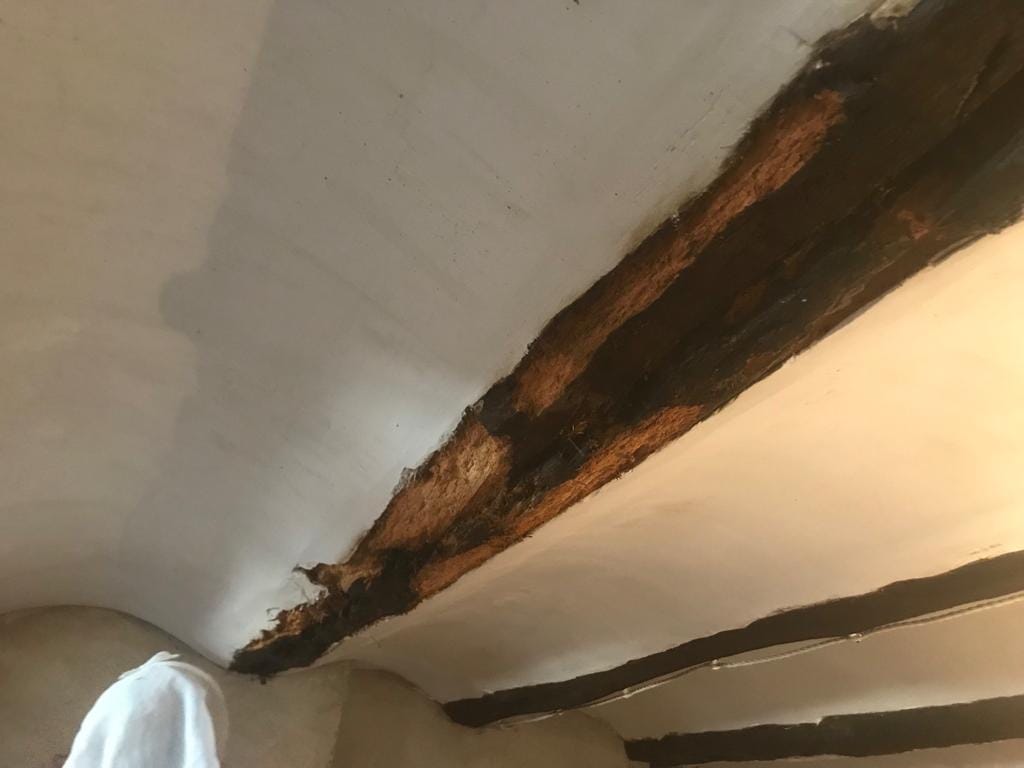 ¿Cuáles son los siguientes pasos a realizar en estas vigas carcomidas ...